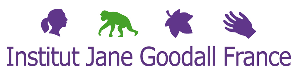 Creating a database for the Jane Goodall Institute